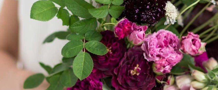 Chill Flowers - Adelaide’s Best & Freshest Flowers!